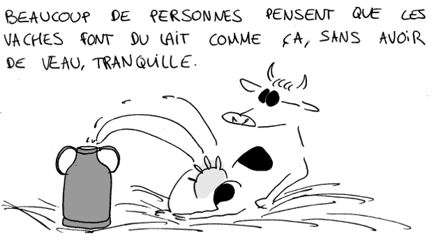 La vache, elle fait du lait. - Insolente Veggie